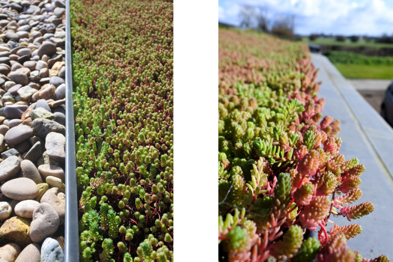 Plans - Retreat Homes & Lodges